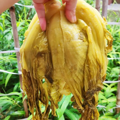 酸青菜的腌制方法_如何腌制酸青菜更脆-第2张图片-山城妙识 酸青菜的腌制方法_如何腌制酸青菜更脆-第2张图片-山城妙识