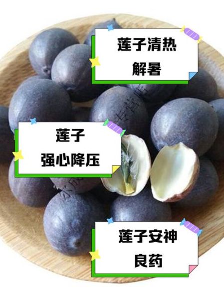 鲜莲子怎么吃_鲜莲子食用禁忌有哪些-第1张图片-山城妙识