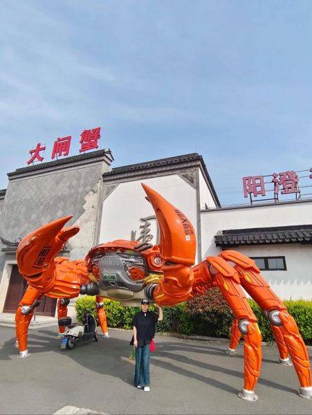 阳澄湖服务区有什么好玩的_阳澄湖服务区一日游攻略-第3张图片-山城妙识