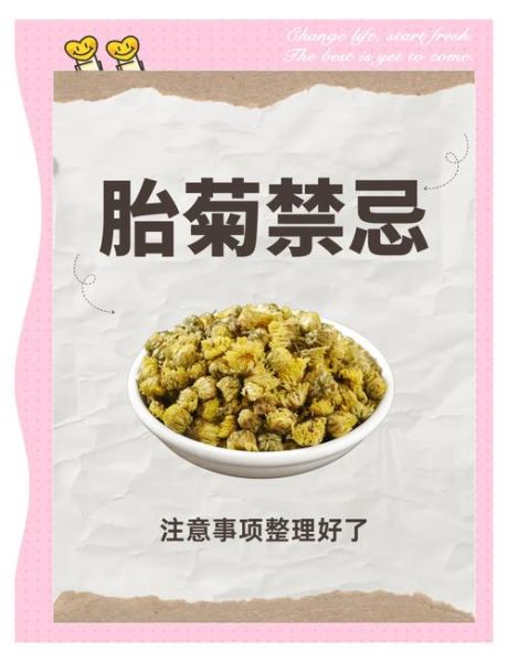 胎菊泡水喝的禁忌_哪些人不能喝胎菊茶-第1张图片-山城妙识