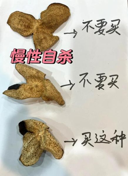 陈皮和橘子皮有什么区别_陈皮与橘子皮的功效差异-第3张图片-山城妙识 陈皮和橘子皮有什么区别_陈皮与橘子皮的功效差异-第3张图片-山城妙识
