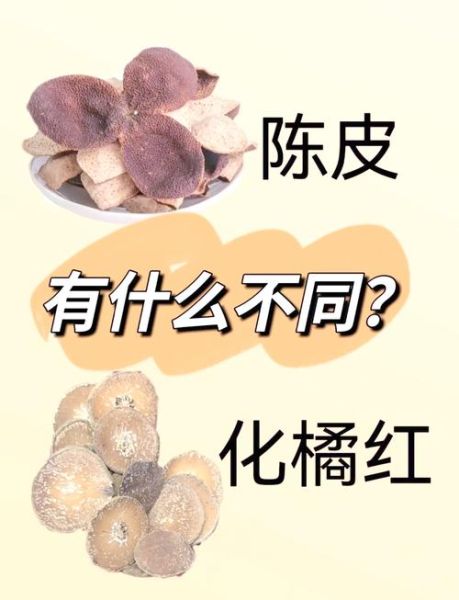 陈皮和橘子皮有什么区别_陈皮与橘子皮的功效差异-第2张图片-山城妙识 陈皮和橘子皮有什么区别_陈皮与橘子皮的功效差异-第2张图片-山城妙识