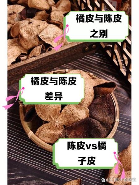 陈皮和橘子皮有什么区别_陈皮与橘子皮的功效差异-第1张图片-山城妙识 陈皮和橘子皮有什么区别_陈皮与橘子皮的功效差异-第1张图片-山城妙识