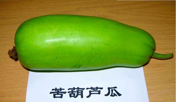 瓠子瓜苦的有毒吗_吃了会中毒吗-第3张图片-山城妙识 瓠子瓜苦的有毒吗_吃了会中毒吗-第3张图片-山城妙识