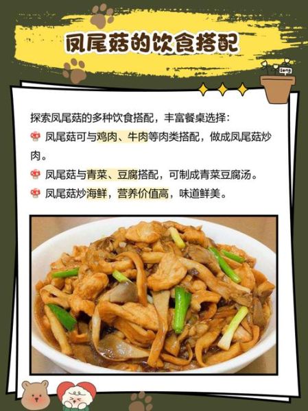 凤尾菇的营养价值_凤尾菇有哪些营养成分-第2张图片-山城妙识 凤尾菇的营养价值_凤尾菇有哪些营养成分-第2张图片-山城妙识