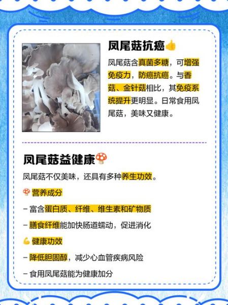 凤尾菇的营养价值_凤尾菇有哪些营养成分-第1张图片-山城妙识 凤尾菇的营养价值_凤尾菇有哪些营养成分-第1张图片-山城妙识