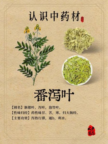 番泻叶减肥吗_番泻叶副作用有哪些-第1张图片-山城妙识