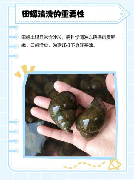 田螺怎么清洗干净_田螺的家常做法-第3张图片-山城妙识