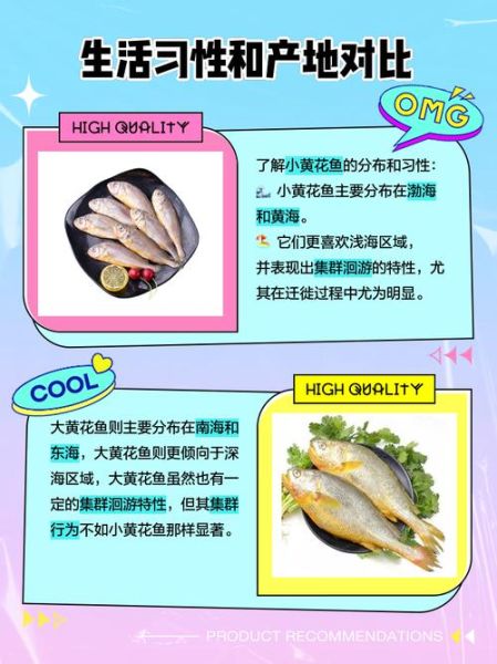 黄花鱼有哪些品种_大黄花鱼和小黄花鱼区别-第2张图片-山城妙识 黄花鱼有哪些品种_大黄花鱼和小黄花鱼区别-第2张图片-山城妙识