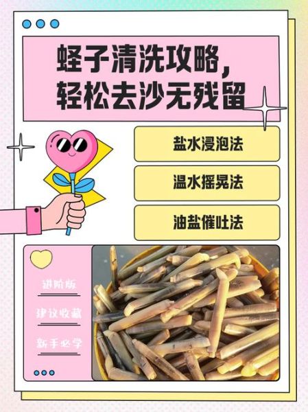 蛏子怎么清洗才干净_蛏子清洗要不要放盐-第1张图片-山城妙识 蛏子怎么清洗才干净_蛏子清洗要不要放盐-第1张图片-山城妙识