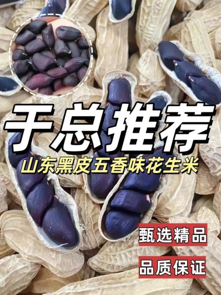 黑花生怎么吃最好_黑花生一天吃多少粒-第3张图片-山城妙识