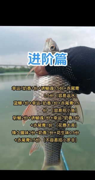 鲮鱼饵料配方_钓鲮鱼用什么饵最好-第1张图片-山城妙识