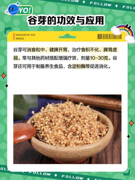 谷芽别名是什么_谷芽与麦芽区别-第1张图片-山城妙识 谷芽别名是什么_谷芽与麦芽区别-第1张图片-山城妙识