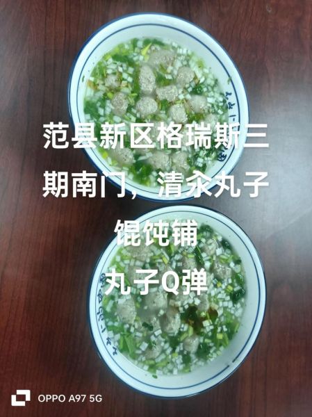 水汆丸子怎么做_水汆丸子为什么散-第2张图片-山城妙识