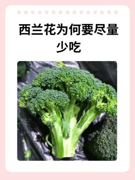 西兰花能天天吃吗_西兰花的功效与作用害处-第2张图片-山城妙识