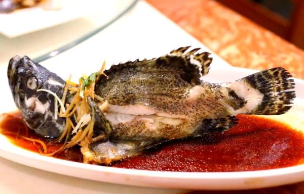 珍珠斑鱼多少钱一斤_珍珠斑鱼怎么做好吃-第3张图片-山城妙识 珍珠斑鱼多少钱一斤_珍珠斑鱼怎么做好吃-第3张图片-山城妙识