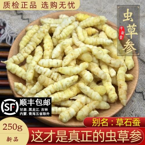 地参图片长什么样_地参和虫草参区别-第3张图片-山城妙识