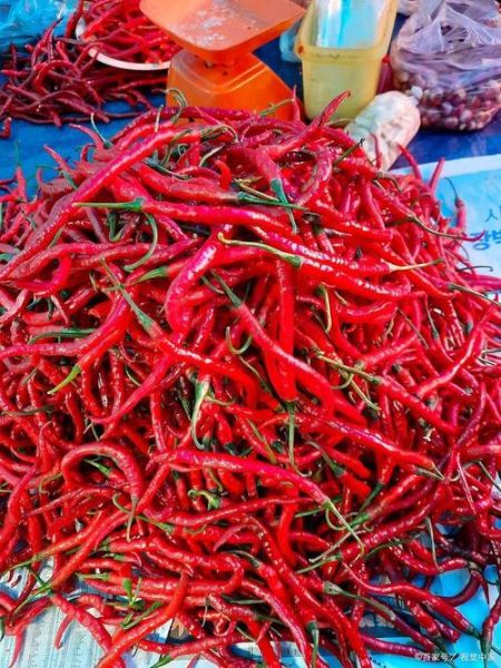 中国最辣的辣椒排名第一_到底有多辣-第2张图片-山城妙识