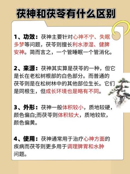 茯神的功效与作用是什么_茯神和茯苓的区别-第1张图片-山城妙识