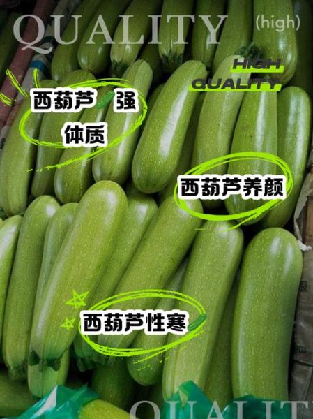 西葫芦有毒是真的吗_吃西葫芦会中毒吗-第2张图片-山城妙识