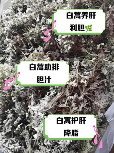 白蒿的功效与作用_白蒿的别名有哪些-第2张图片-山城妙识 白蒿的功效与作用_白蒿的别名有哪些-第2张图片-山城妙识