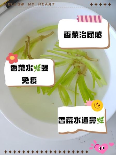 香菜煮水怎么喝才排毒_香菜水一天喝几次-第2张图片-山城妙识