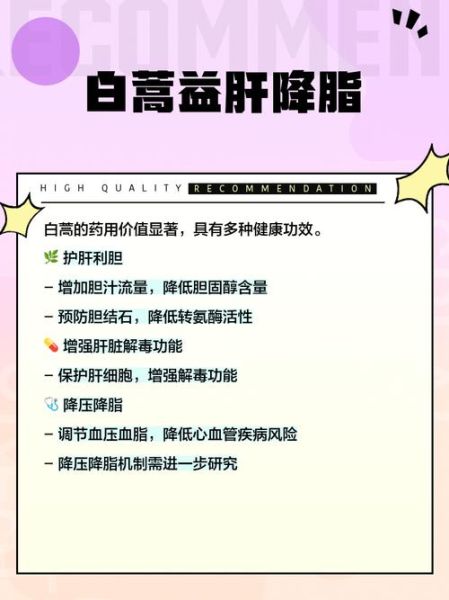 白蒿的功效与作用_白蒿的别名有哪些-第3张图片-山城妙识 白蒿的功效与作用_白蒿的别名有哪些-第3张图片-山城妙识