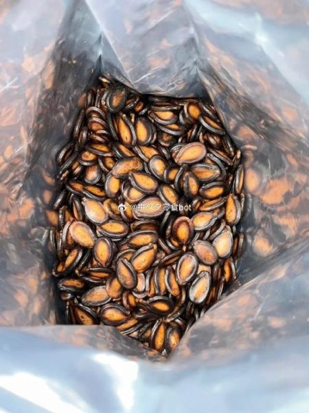 西瓜子图片大全_西瓜子怎么挑选-第3张图片-山城妙识 西瓜子图片大全_西瓜子怎么挑选-第3张图片-山城妙识