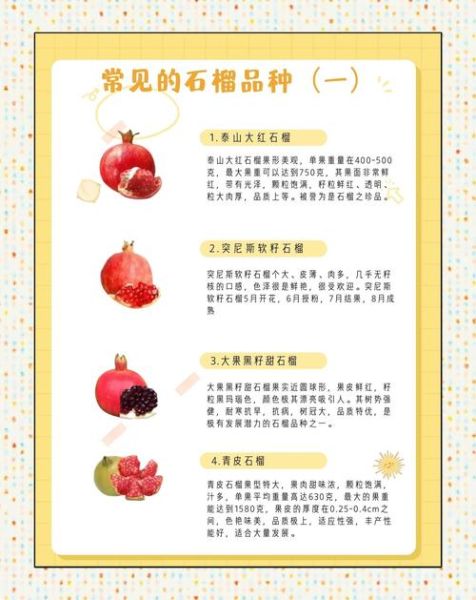 吃石榴有什么好处_石榴的功效与作用-第2张图片-山城妙识