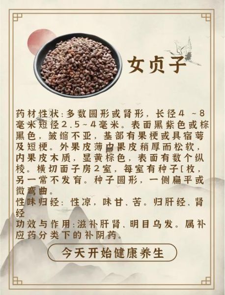 女贞子功效与作用_女贞子主治什么病-第3张图片-山城妙识 女贞子功效与作用_女贞子主治什么病-第3张图片-山城妙识