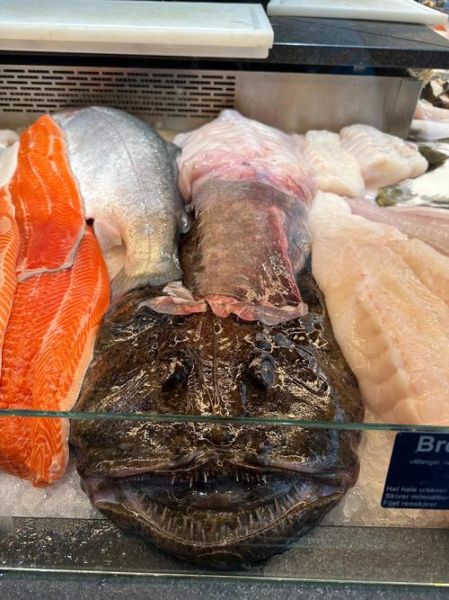 超市里哪些是深海鱼_深海鱼怎么挑-第1张图片-山城妙识
