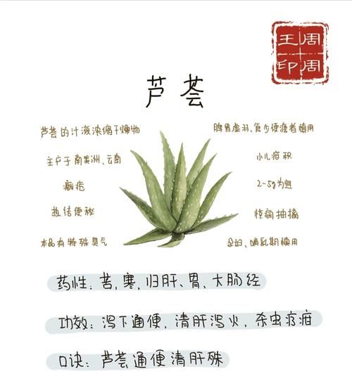 芦荟怎么吃最安全_芦荟食用方法大全-第2张图片-山城妙识 芦荟怎么吃最安全_芦荟食用方法大全-第2张图片-山城妙识
