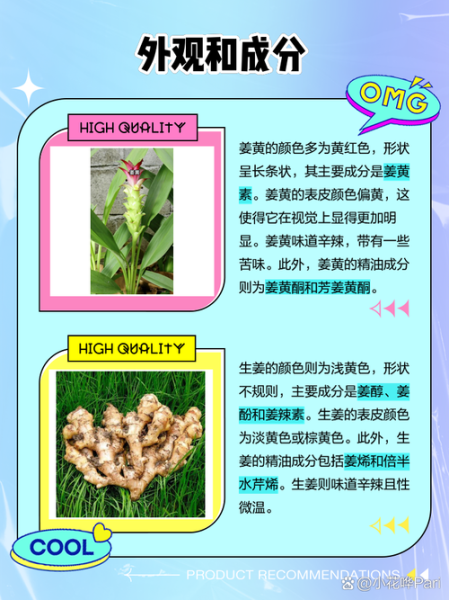 片姜黄与姜黄的区别_如何快速分辨两者-第2张图片-山城妙识