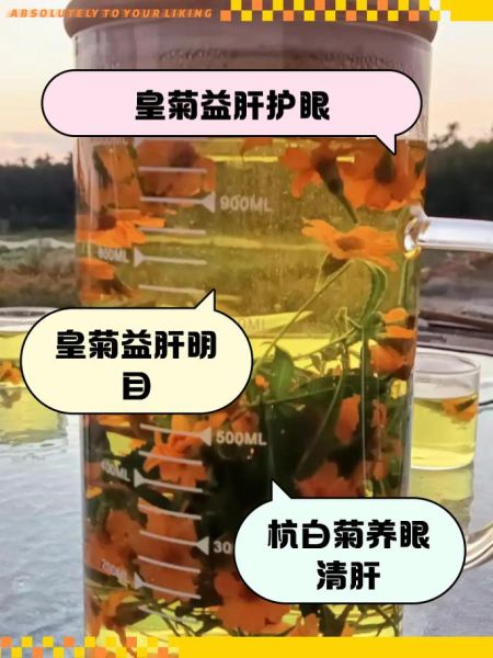 什么菊花茶养肝明目最好_哪种菊花效果最好-第2张图片-山城妙识