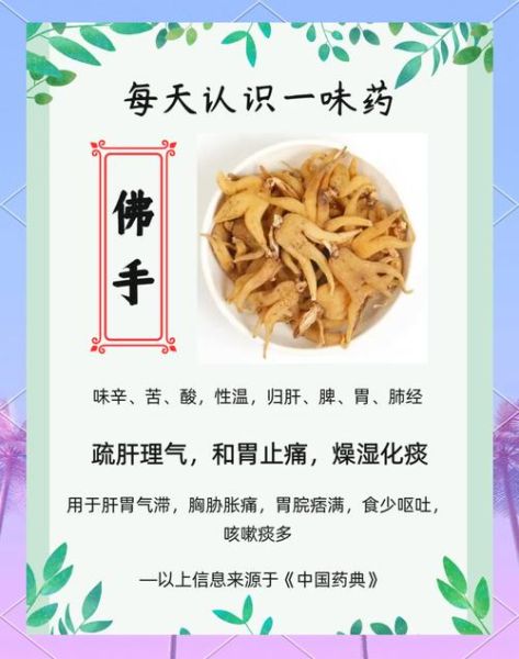 佛手功效与作用_佛手主治哪些疾病-第1张图片-山城妙识 佛手功效与作用_佛手主治哪些疾病-第1张图片-山城妙识