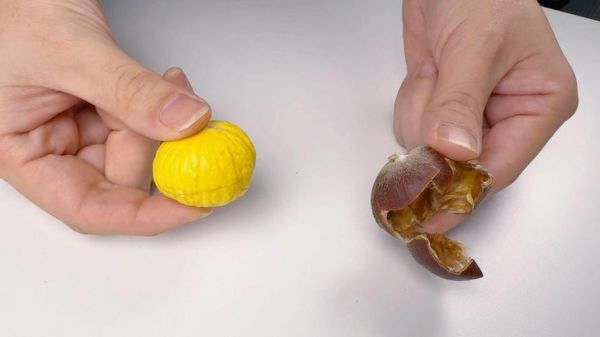 生栗子怎么做好吃_生栗子去壳最简单方法-第1张图片-山城妙识