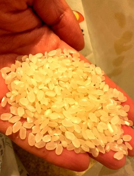 做寿司的米是什么米_寿司米和普通米的区别-第1张图片-山城妙识