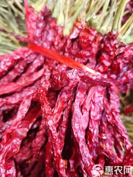 干辣椒怎么做辣椒面_干辣椒怎么磨成粉-第1张图片-山城妙识