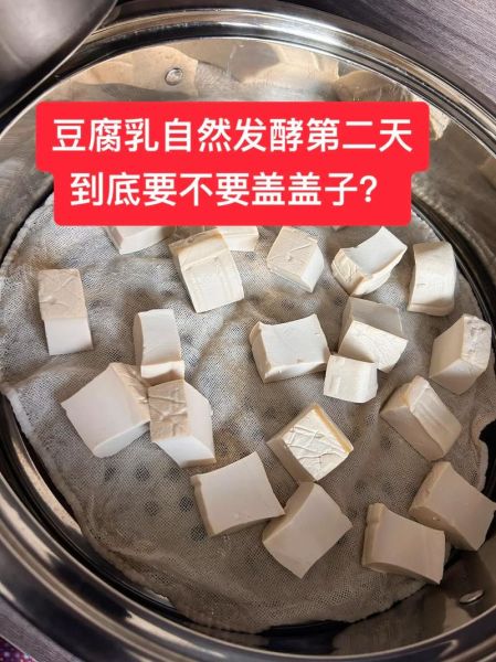 豆腐乳怎么做_自制豆腐乳的做法-第3张图片-山城妙识
