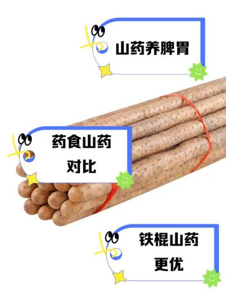 铁棍山药怎么挑选_铁棍山药和淮山药区别-第2张图片-山城妙识 铁棍山药怎么挑选_铁棍山药和淮山药区别-第2张图片-山城妙识