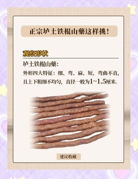铁棍山药怎么挑选_铁棍山药和淮山药区别-第3张图片-山城妙识 铁棍山药怎么挑选_铁棍山药和淮山药区别-第3张图片-山城妙识