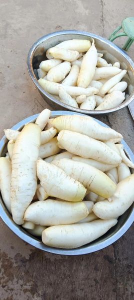 怎样腌制胡萝卜_胡萝卜腌制多久可以吃-第2张图片-山城妙识