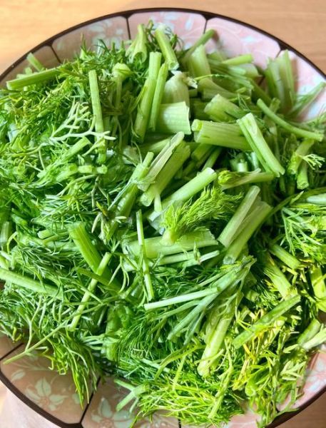 茴香菜的功效与作用_茴香菜的禁忌症有哪些-第3张图片-山城妙识 茴香菜的功效与作用_茴香菜的禁忌症有哪些-第3张图片-山城妙识