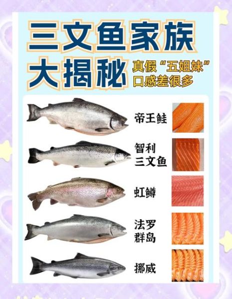 鲑鱼价格多少钱一斤_鲑鱼价格为何波动大-第2张图片-山城妙识