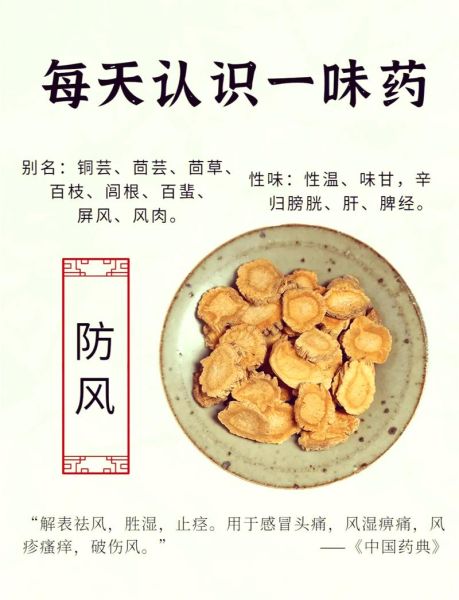 防风的功效与作用及禁忌_哪些人不能吃防风-第1张图片-山城妙识 防风的功效与作用及禁忌_哪些人不能吃防风-第1张图片-山城妙识
