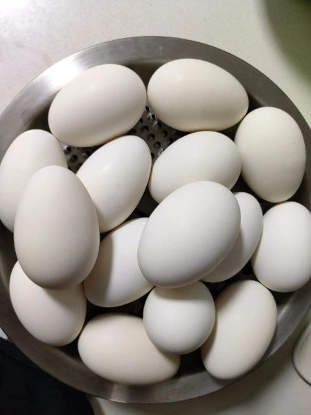 鹅蛋怎么吃好吃_鹅蛋的家常做法-第3张图片-山城妙识