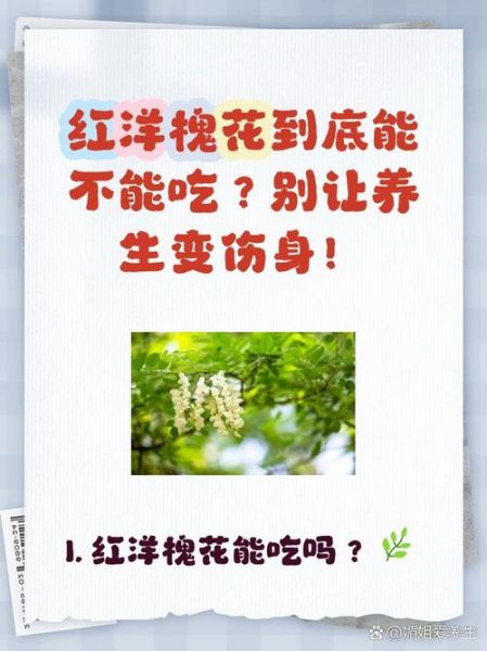 红槐花可以吃吗_红槐花食用方法-第1张图片-山城妙识
