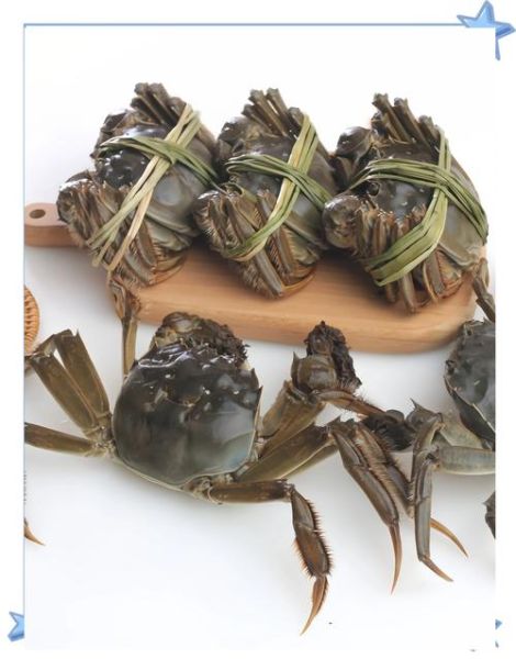 六月黄大闸蟹的营养价值_六月黄大闸蟹的功效与作用-第2张图片-山城妙识