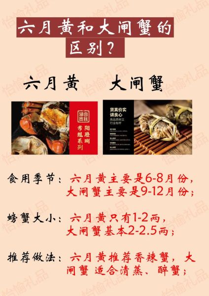 六月黄大闸蟹的营养价值_六月黄大闸蟹的功效与作用-第1张图片-山城妙识