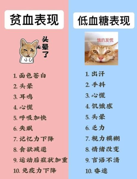 怎么判断自己贫血还是低血糖_症状区别与自测方法-第2张图片-山城妙识
